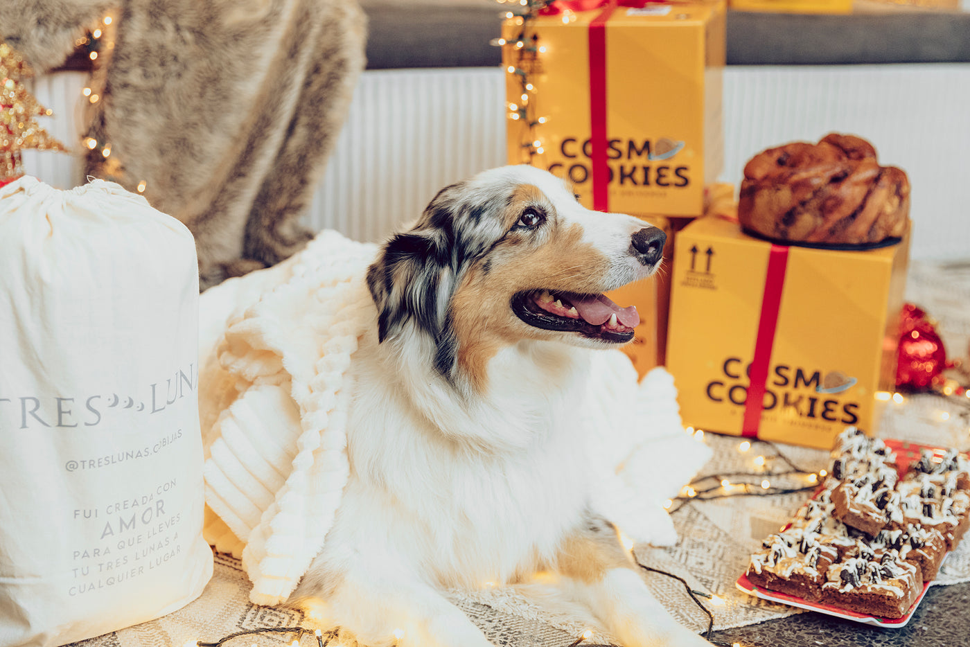 Cosmo Cookies - Envíos en Medellín y Bogotá - Repostería – cosmocookies